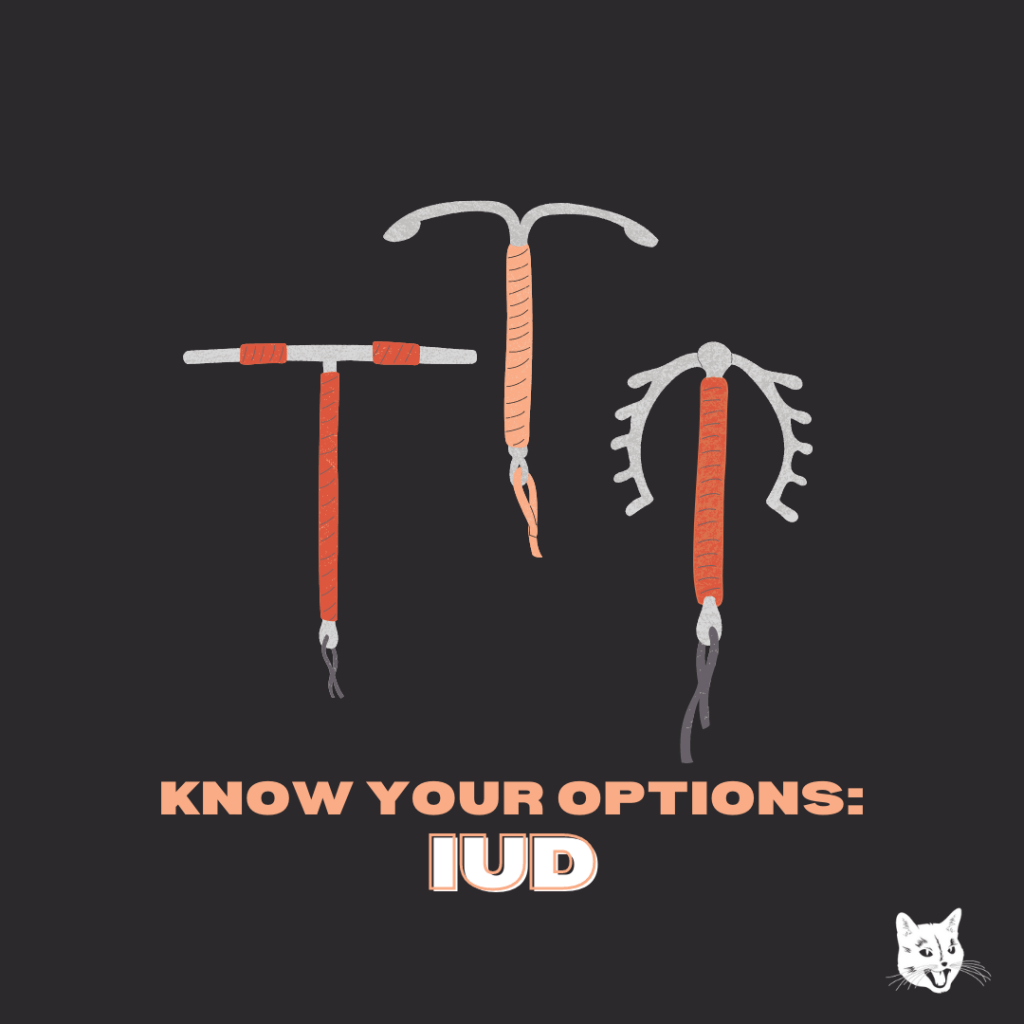 Know Your Options—A Guide to Choosing The Right Birth Control For You ...